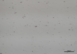 Inclusions in Specialty Alloys - Rolled Alloys